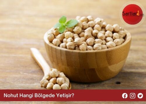 Nohut Hangi Bölgede Yetişir - Şartları Neler